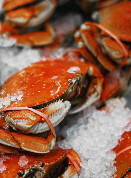 Who We Serve | LP Seafood & Specialty