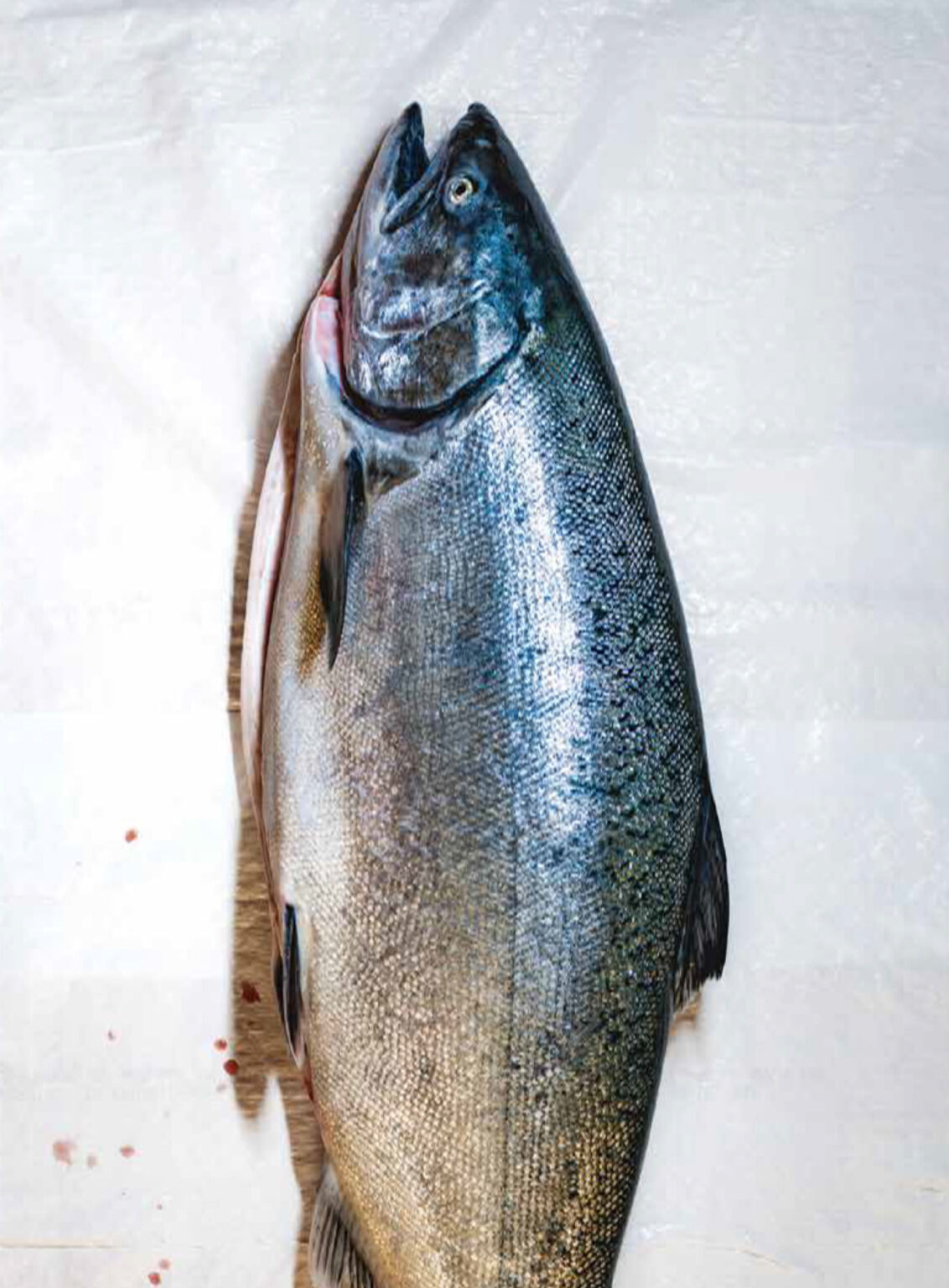 About - LP Seafood & Specialty