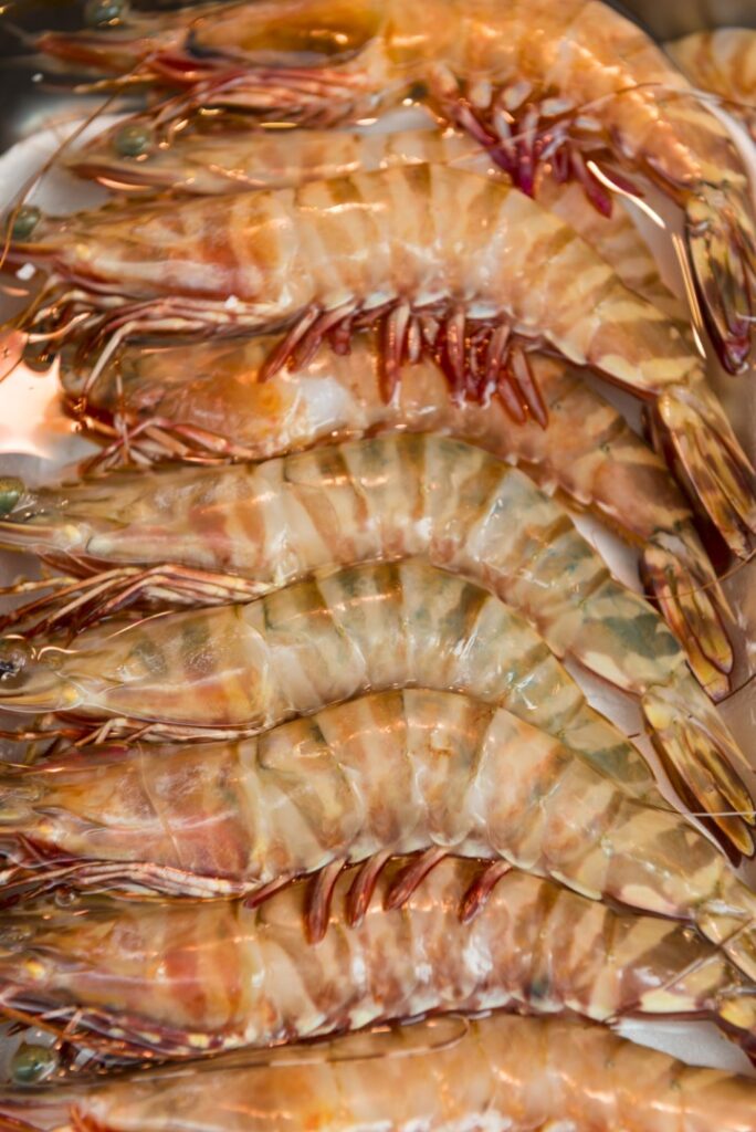 Fresh Shrimp Wholesale | LP Seafood & Specialty