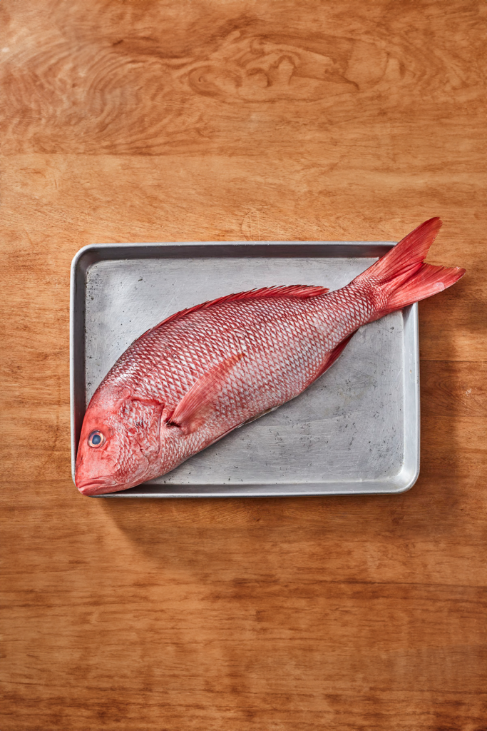 Snapper, American Red - LP Seafood & Specialty